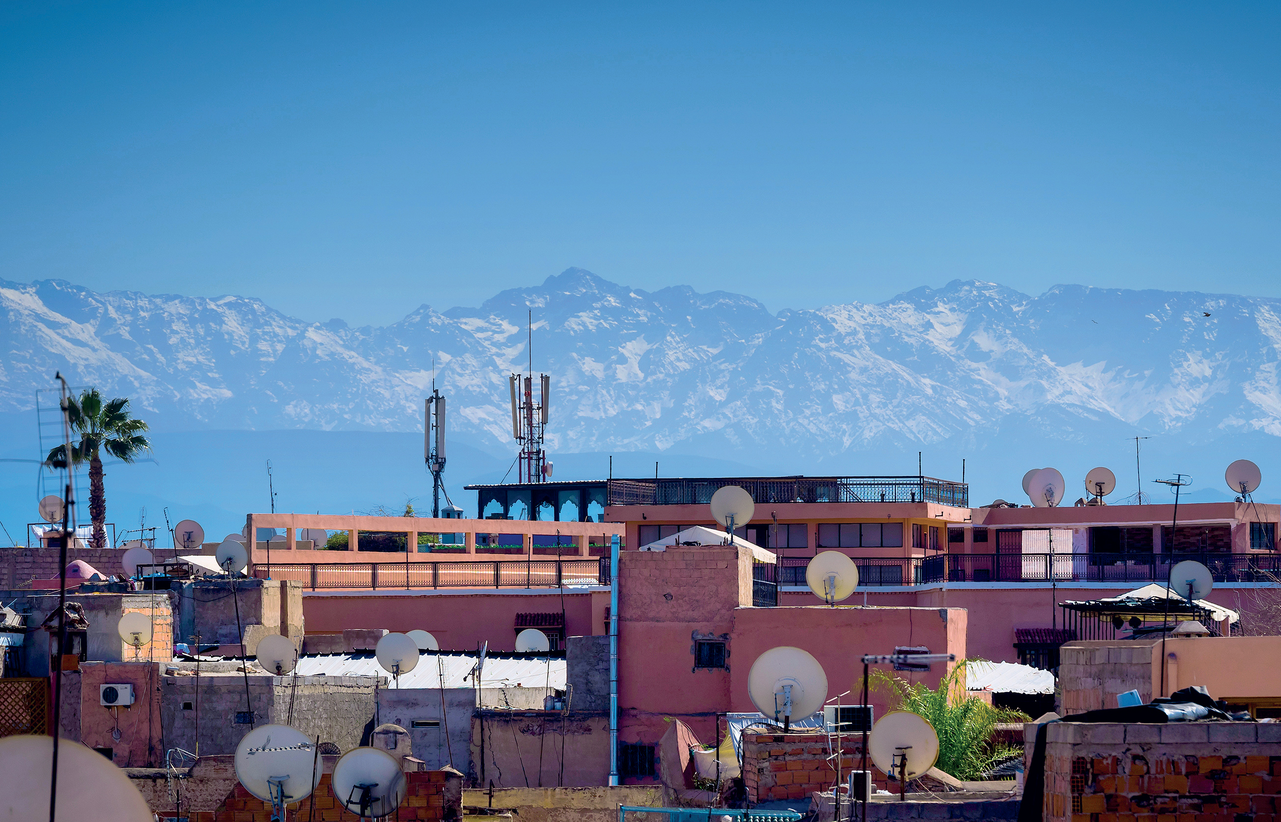 The differences between DTH and DTT | SES