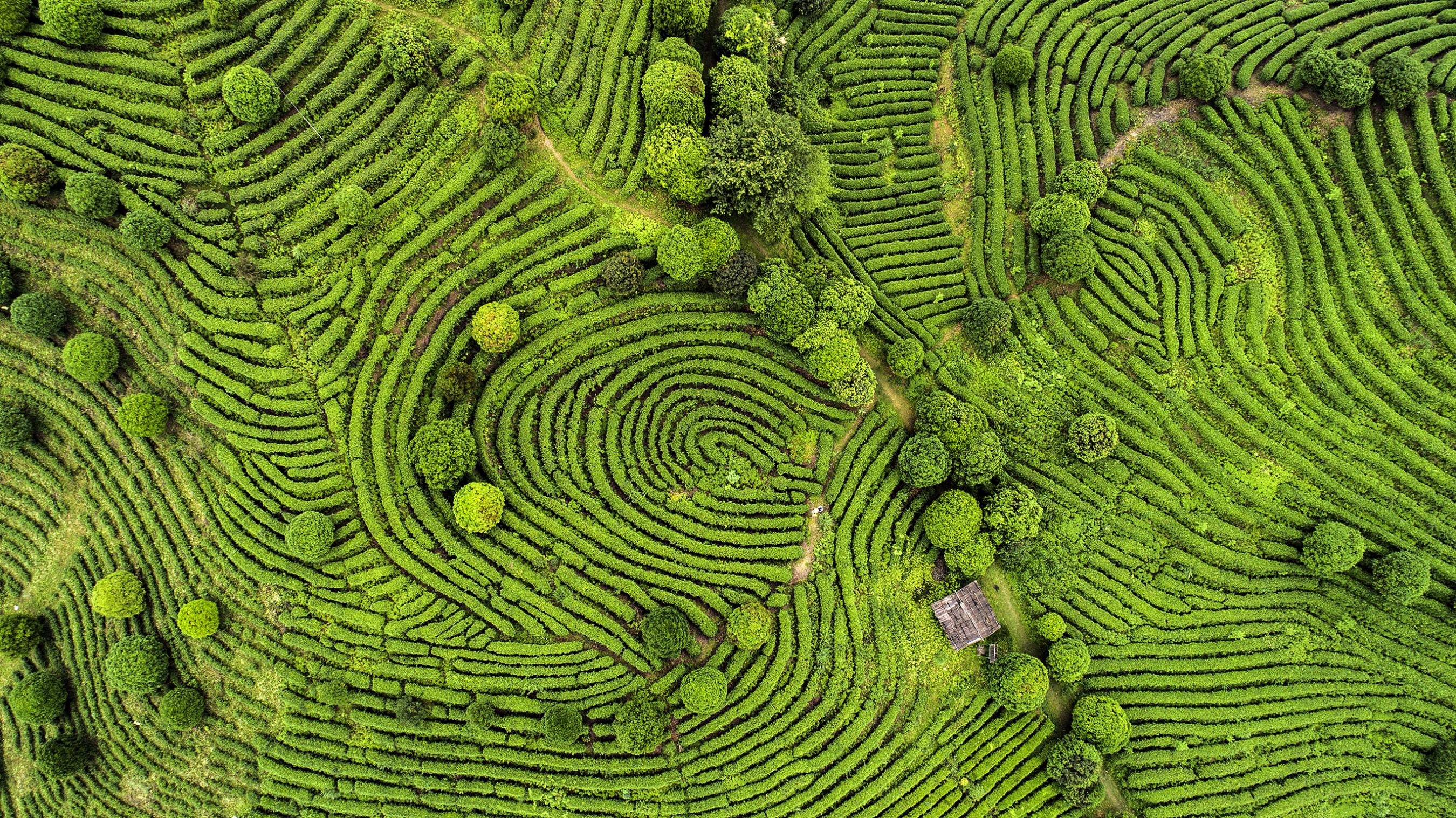 Environmental Social And Governance ESG SES environmental-social-and-governance-esg-ses