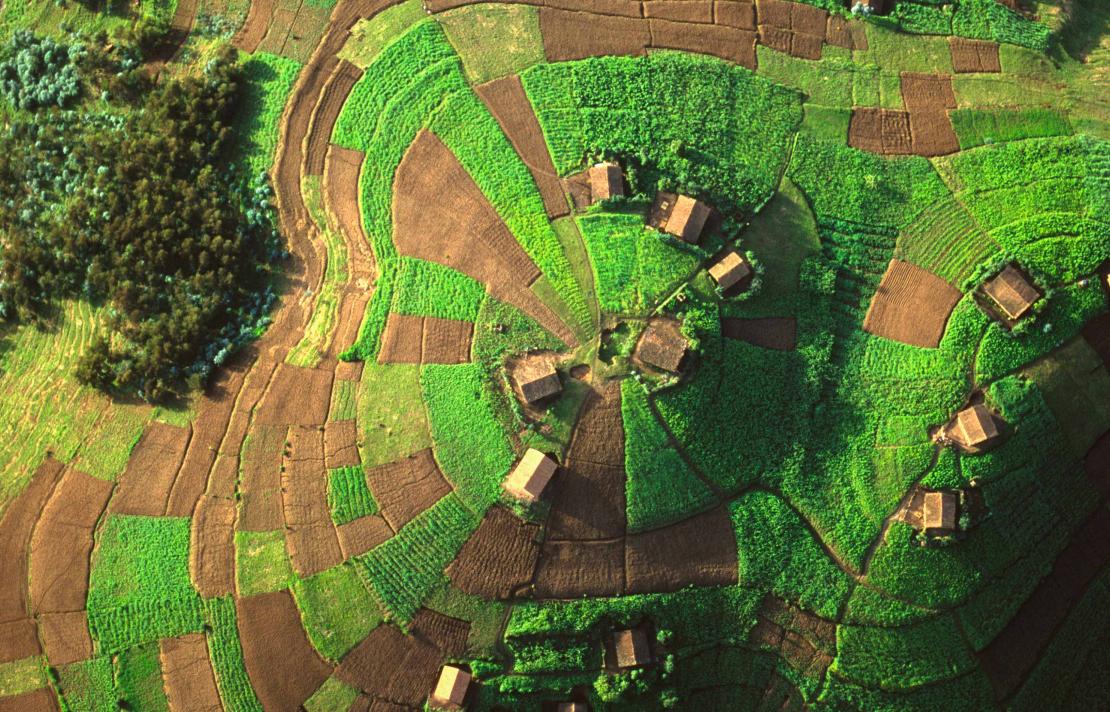 SES | Beyond frontiers