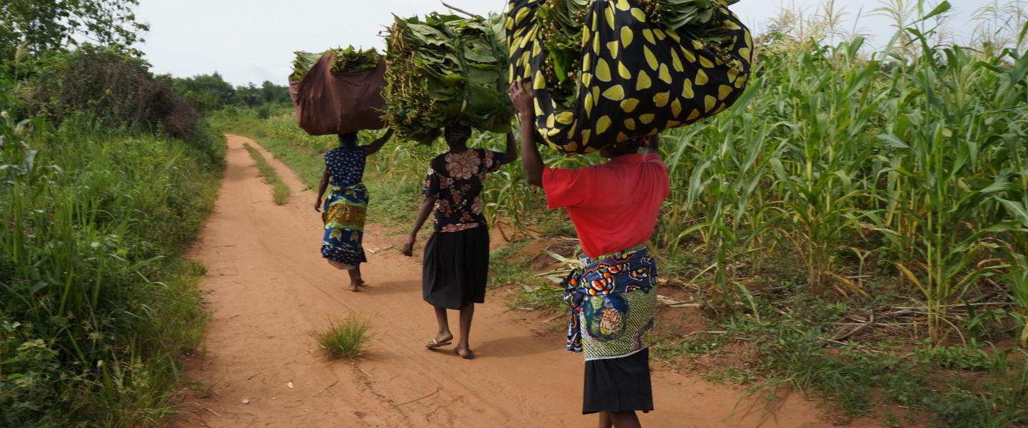 Connecting Africa Through Collaboration | SES